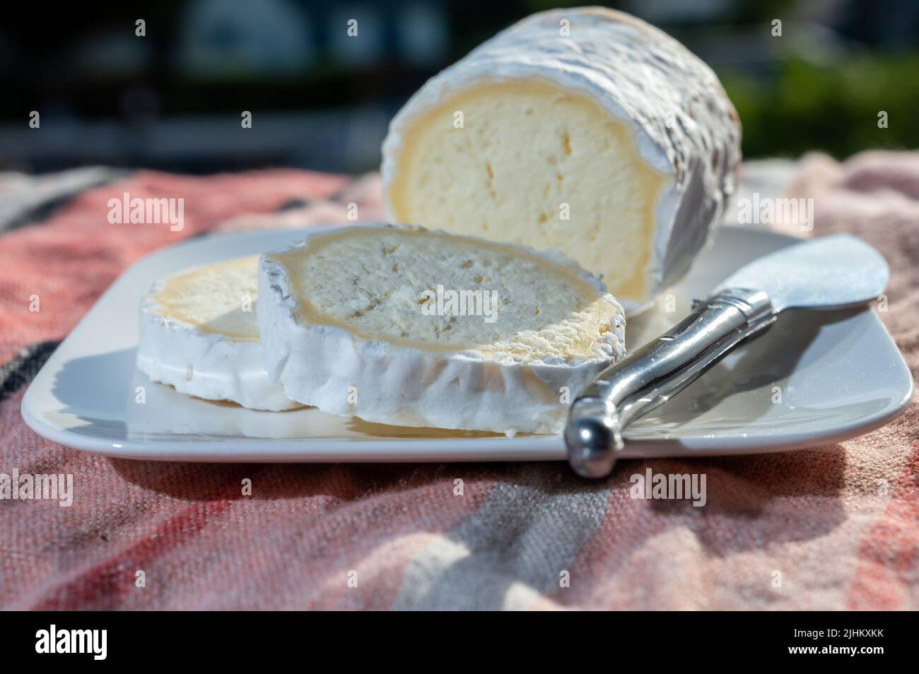 French cheeses, cylindrical neufchatel cow cheese with mold close up ...