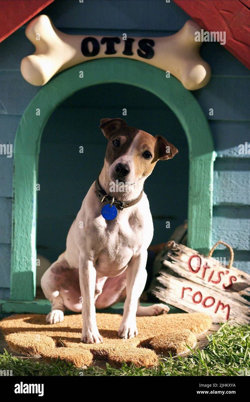 OTIS, SON OF THE MASK, 2005 Stock Photo - Alamy