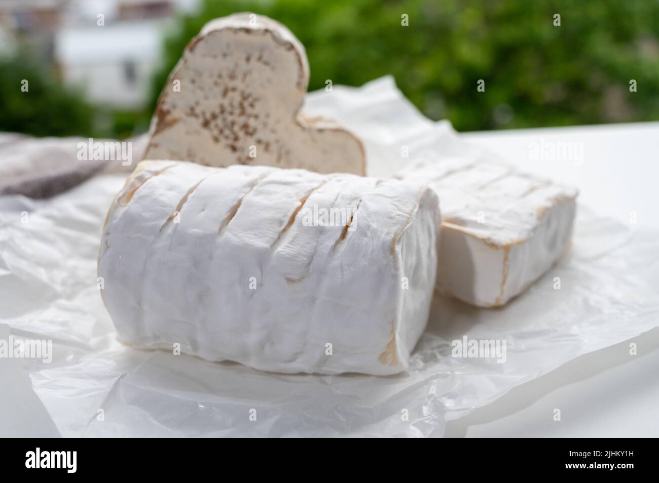 French cheeses heartshaped, squared and cylindrical neufchatel cow ...