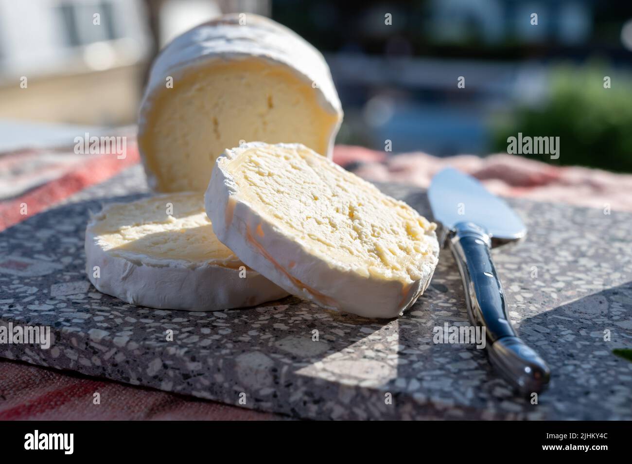 French cheeses, cylindrical neufchatel cow cheese with mold close up ...