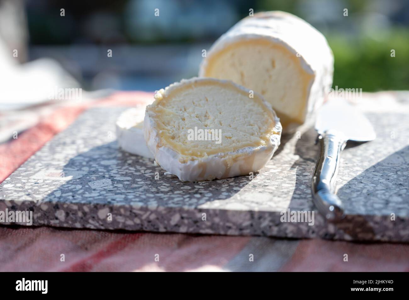 French cheeses, cylindrical neufchatel cow cheese with mold close up ...