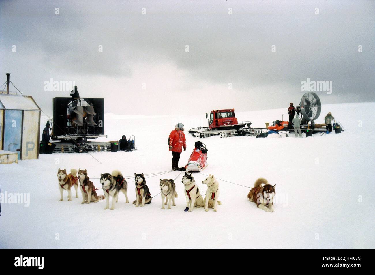 Eight Below Huskies