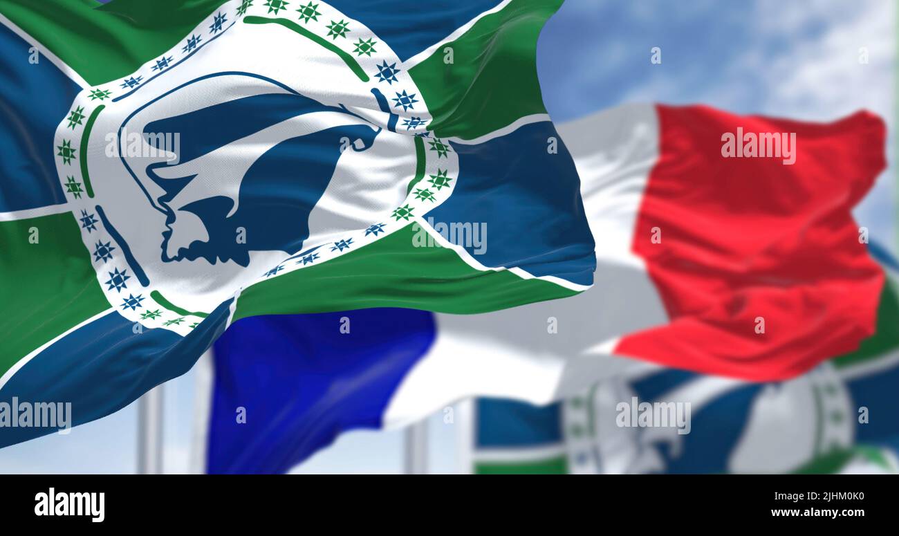 Official Martinique Flag