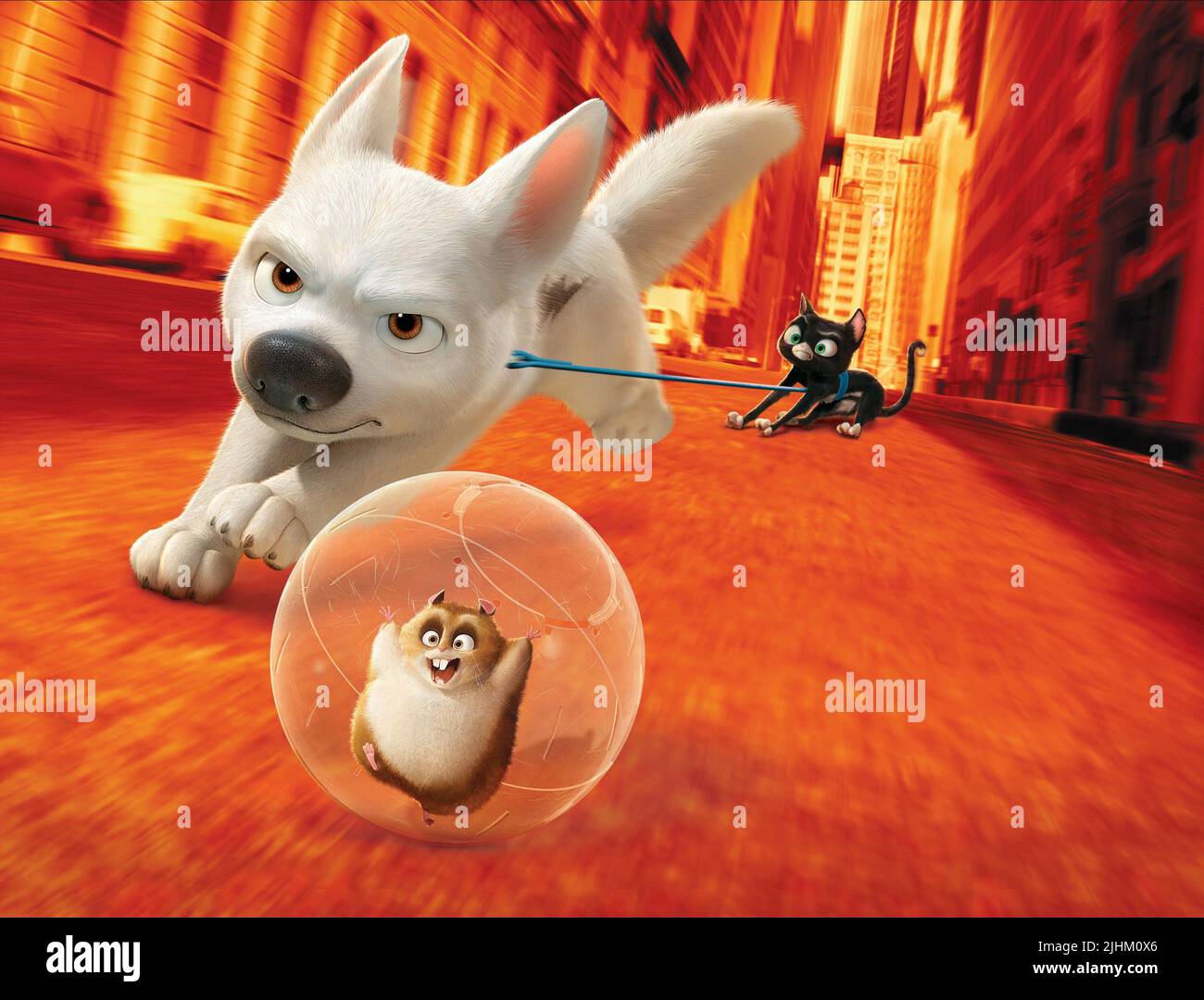 BOLT, RHINO, MR. MITTENS, BOLT, 2008 Stock Photo - Alamy