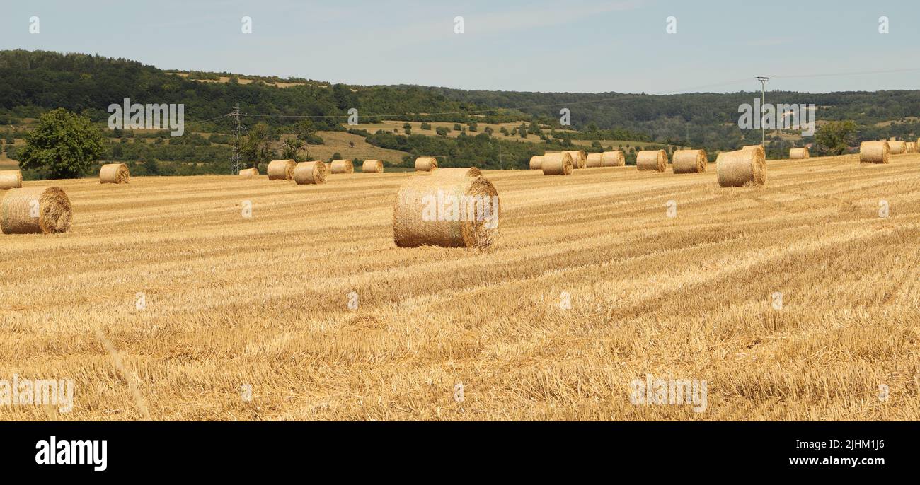 Wheat harvest cut stacked hi-res stock photography and images - Alamy