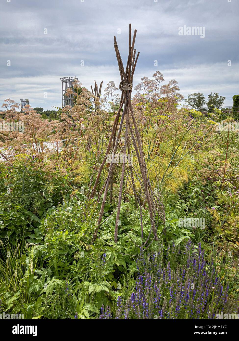Twiggy pea sticks fashioned into a plant supporting wigwam at RHS ...