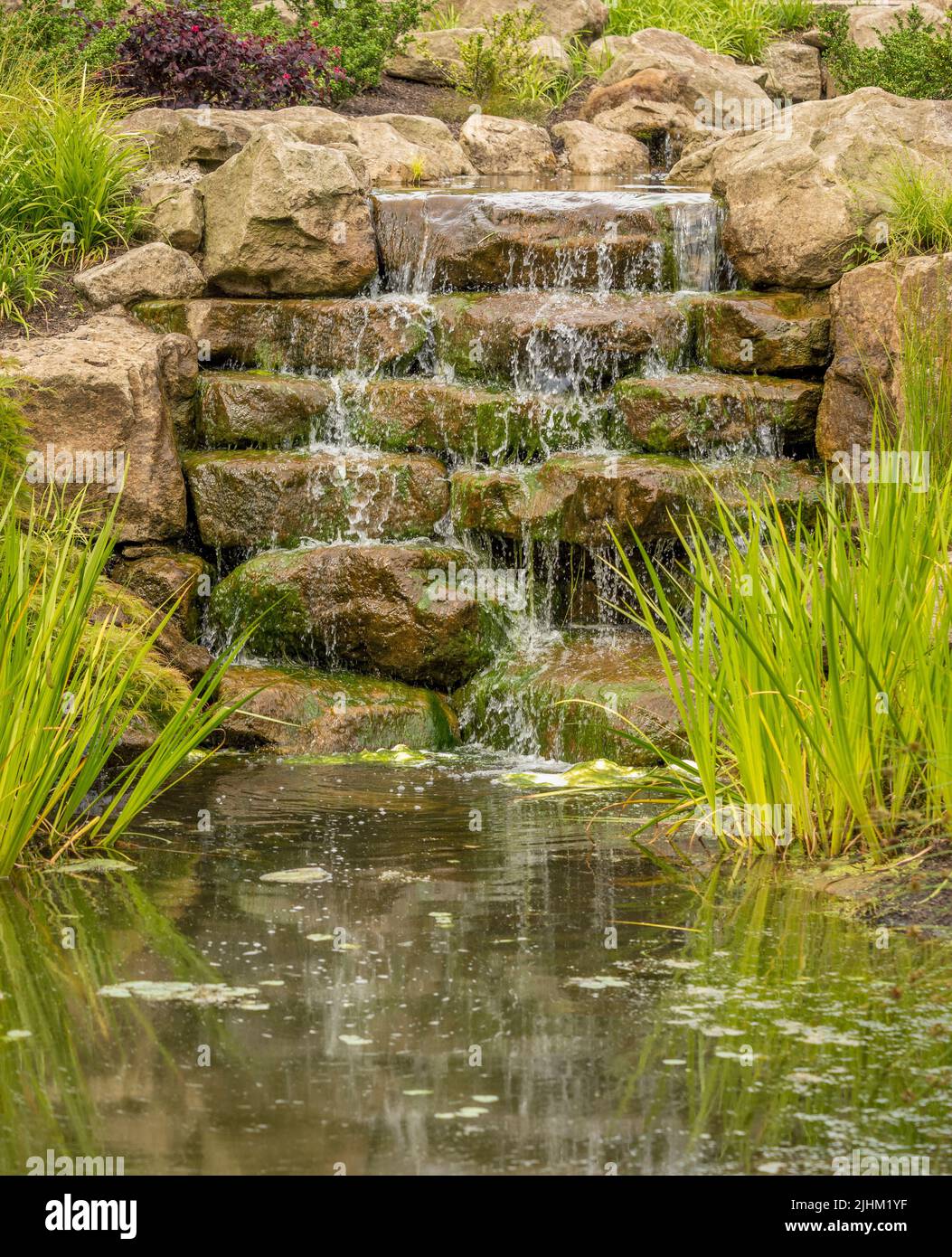 Weir in The Chinese Streamside Garden at RHS Bridgewater. Salford. UK ...