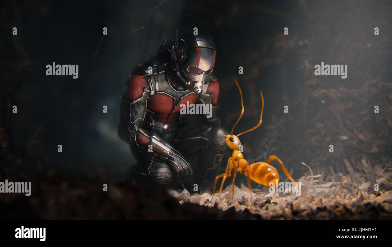 Paul rudd ant man hi-res stock photography and images - Alamy