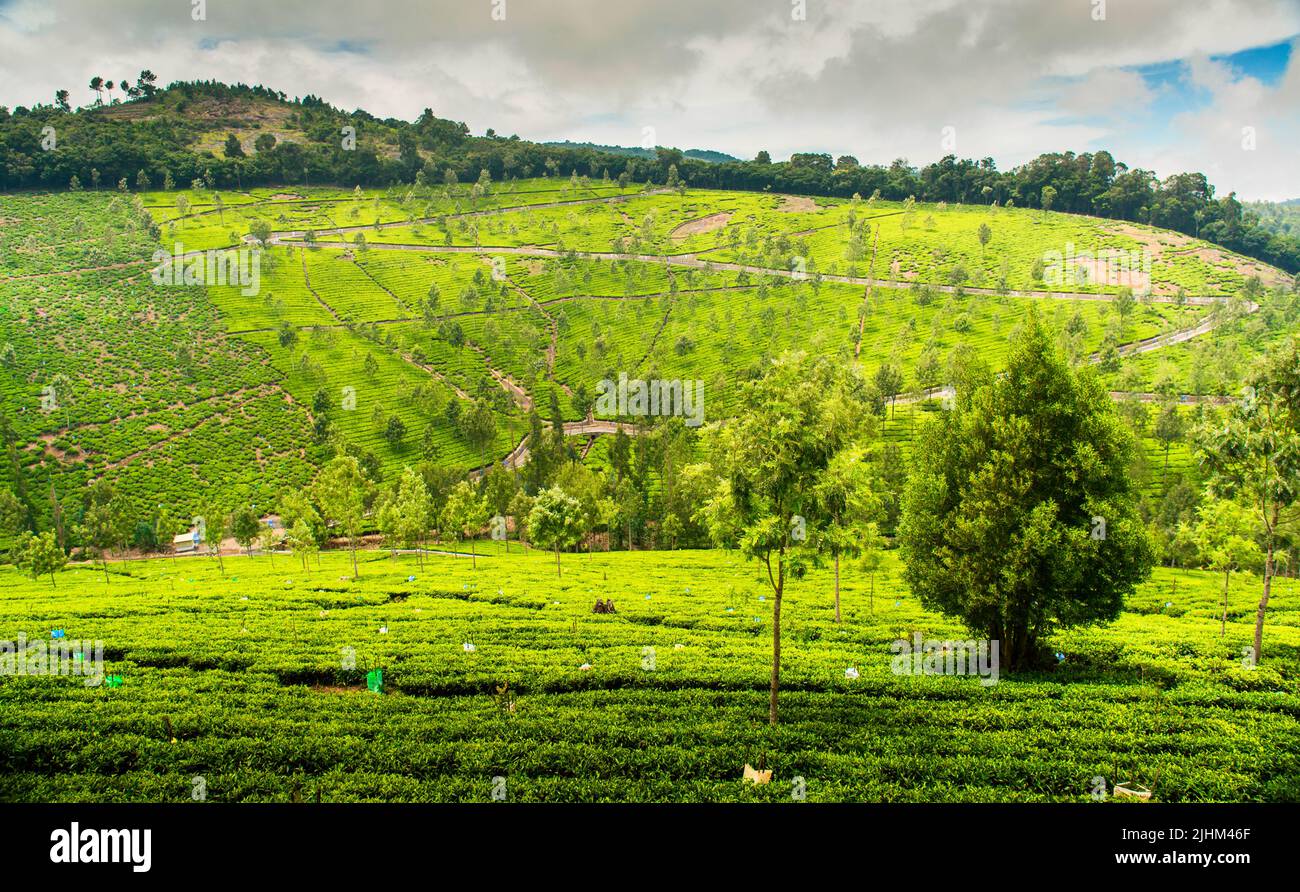 Udagamandalam , india hi-res stock photography and images - Alamy