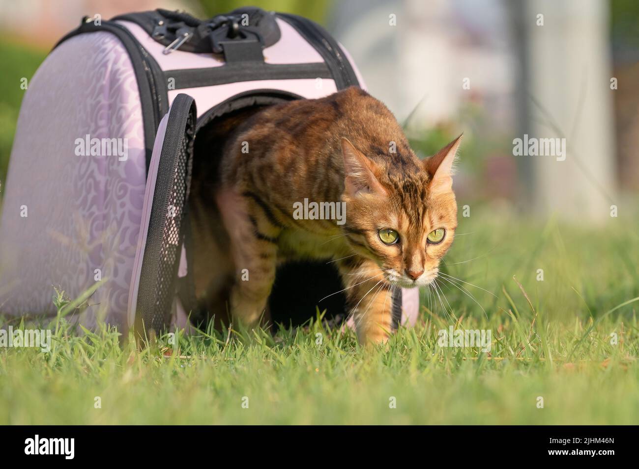 Sneaking out hi-res stock photography and images - Alamy