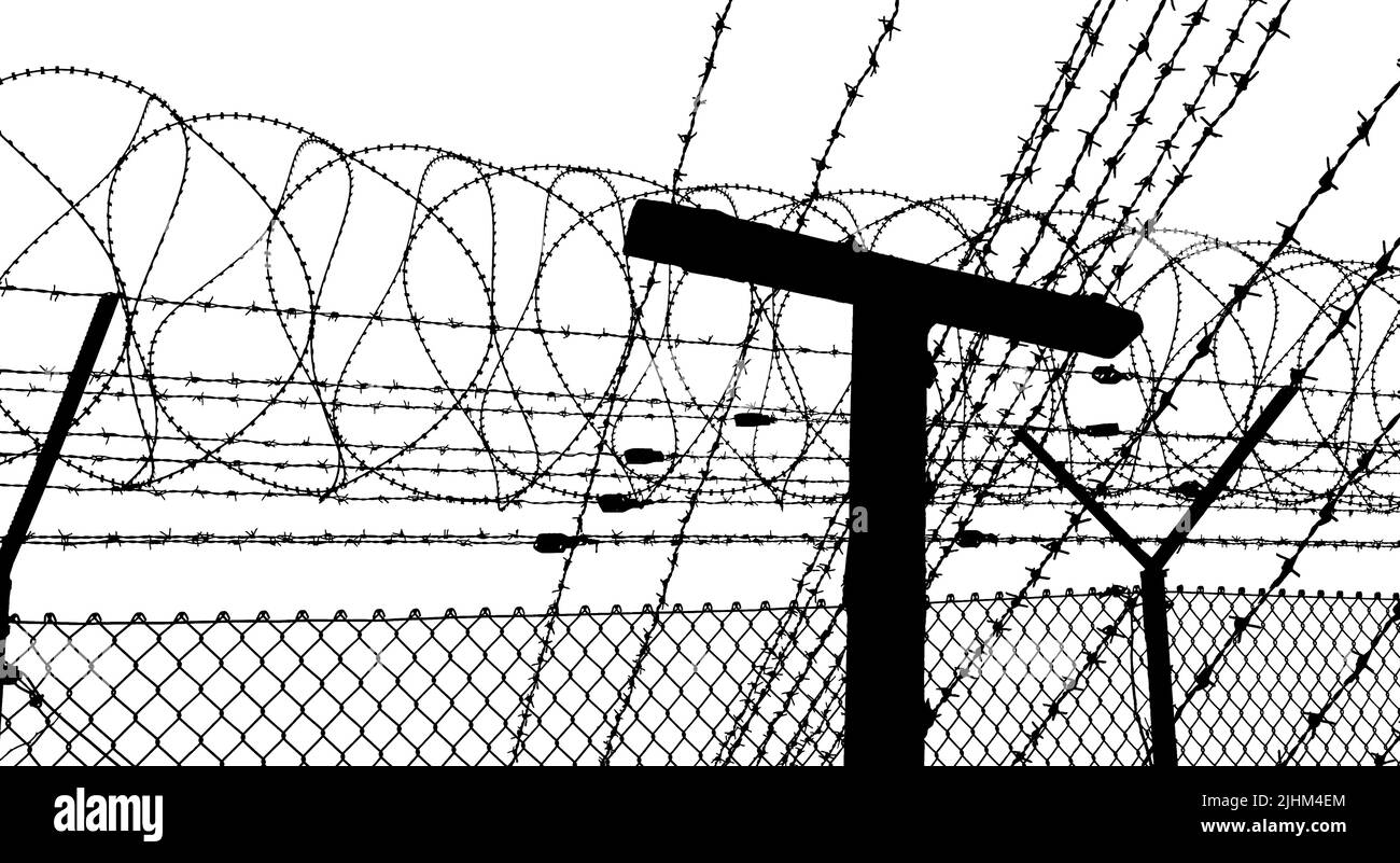 Сontour of barbed wire on a white background Stock Photo - Alamy