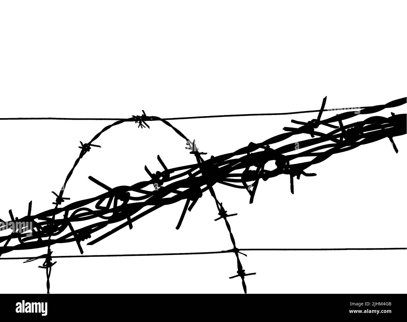 Сontour of barbed wire on a white background Stock Photo - Alamy