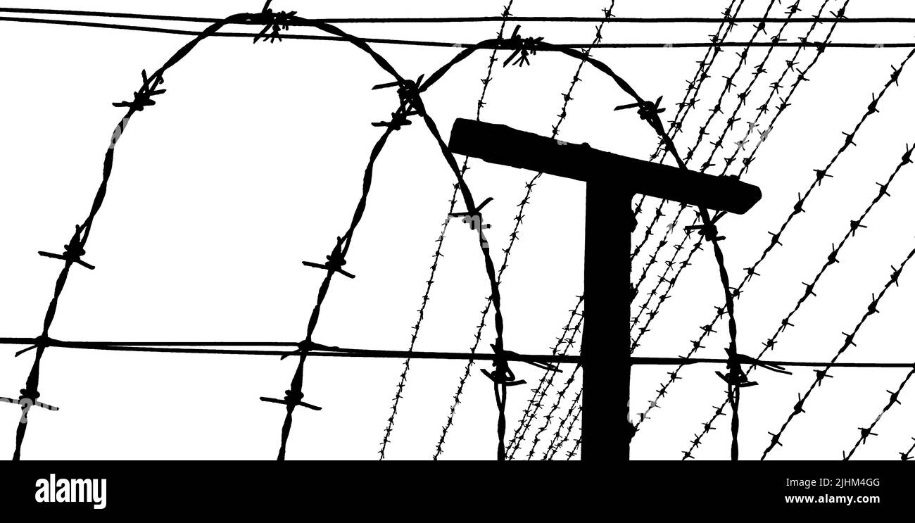 Сontour of barbed wire on a white background Stock Photo - Alamy