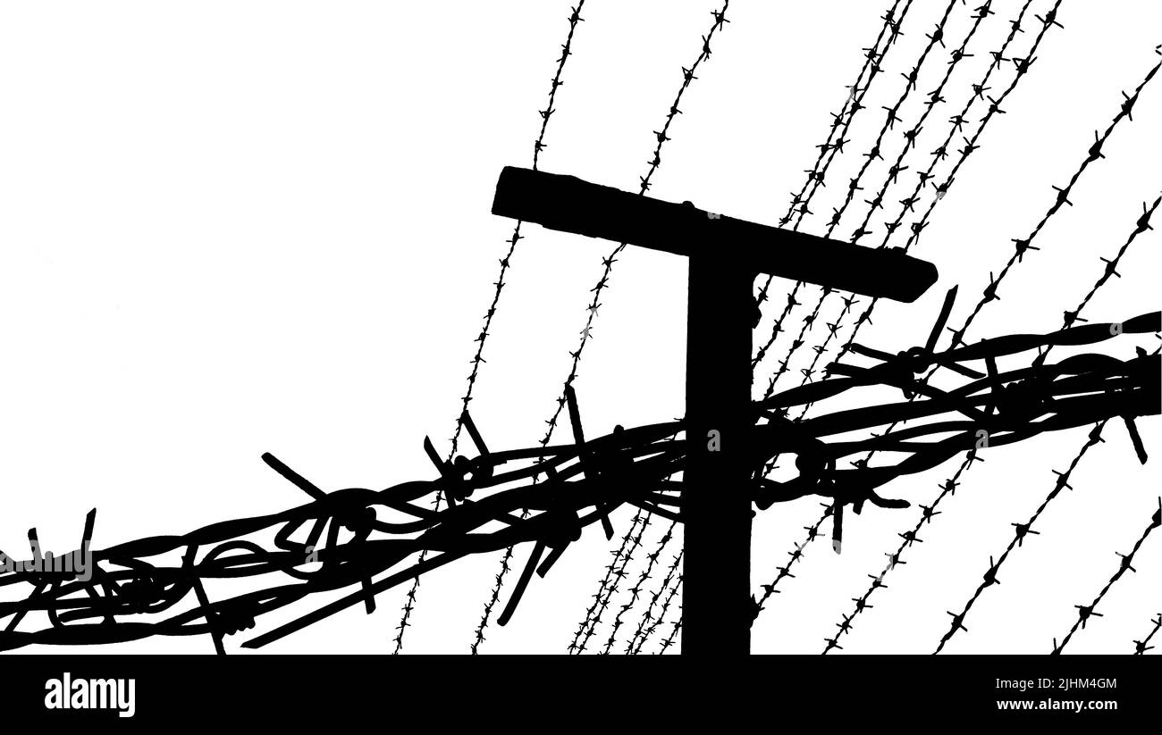 Сontour of barbed wire on a white background Stock Photo - Alamy