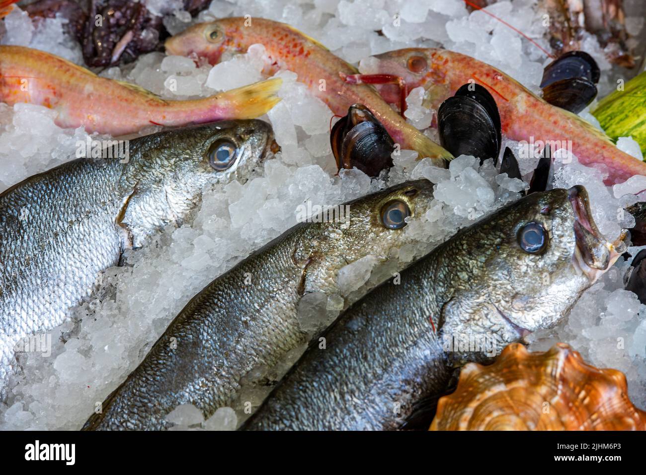 fresh fish on ice displayed at a greek taverna, freshly caught fish ...