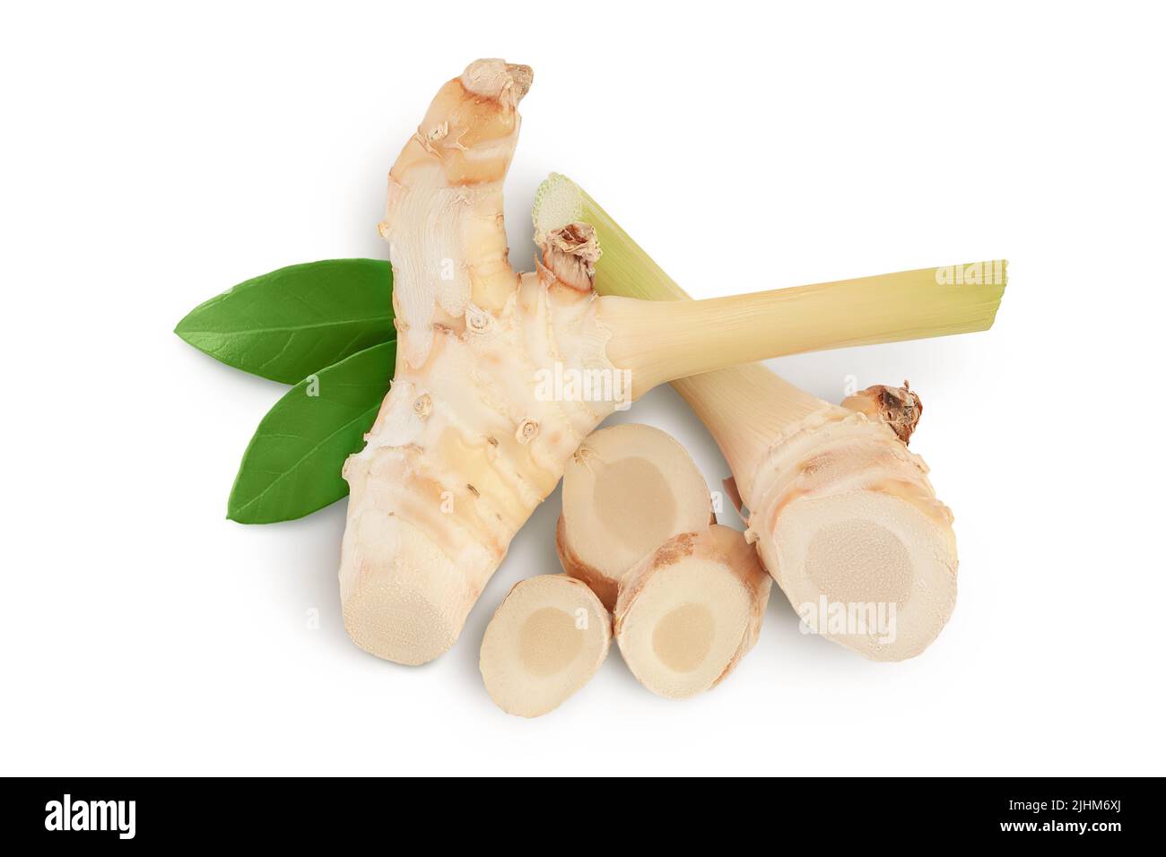 Fresh galangal root with slices isolated on white background with full ...