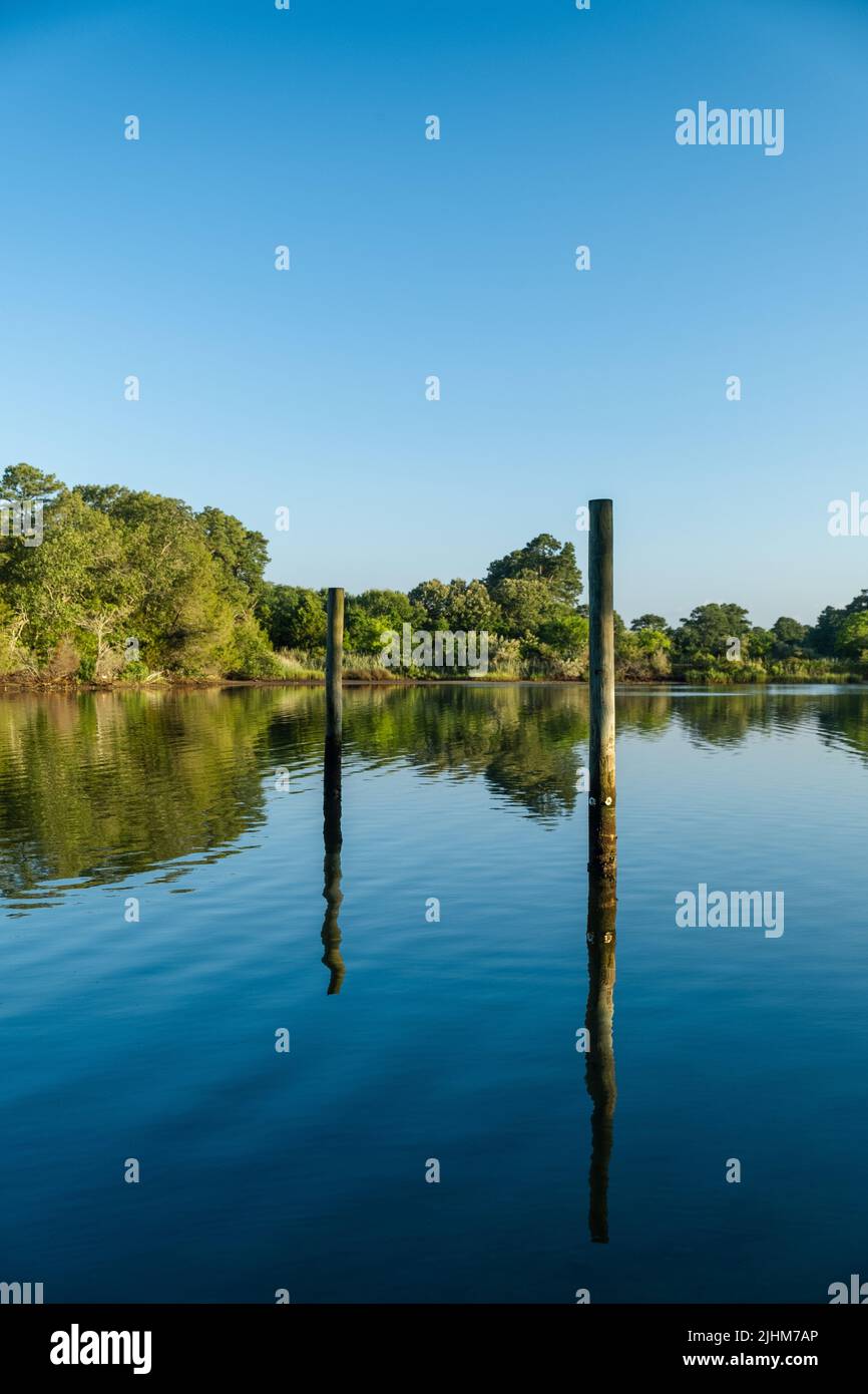 Two pilings in an inlet near the Atlantic Ocean with a shore with trees ...