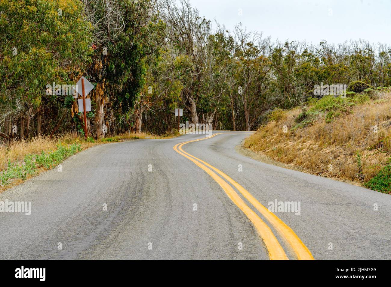 Curving asphalt road with yellow lines, serpentine way surrounded by ...