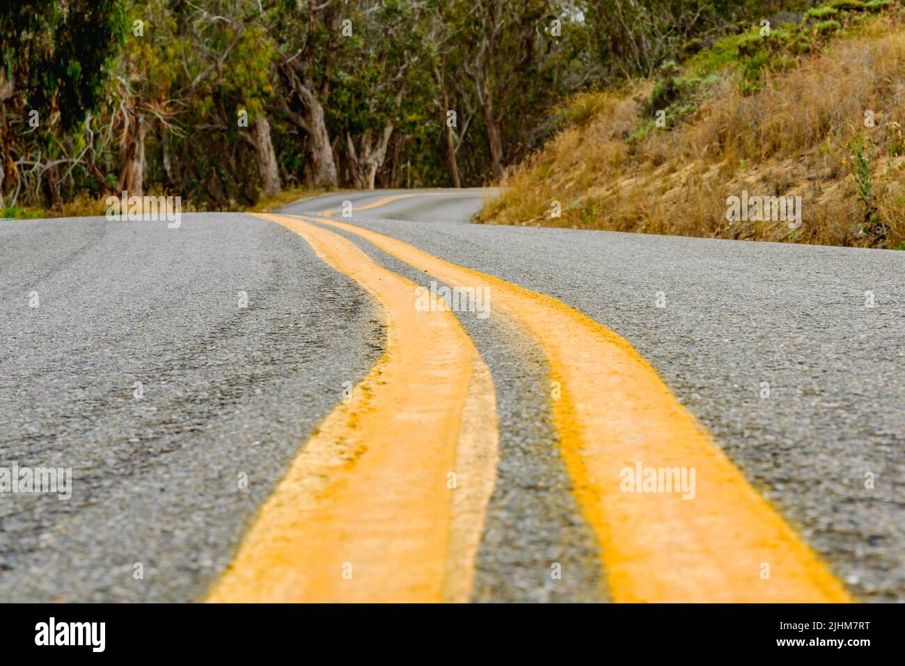 Curving asphalt road with yellow lines close up, serpentine way ...