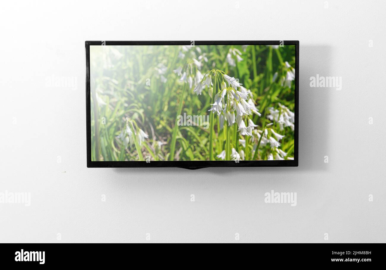 TV monitor on the wall Stock Photo - Alamy