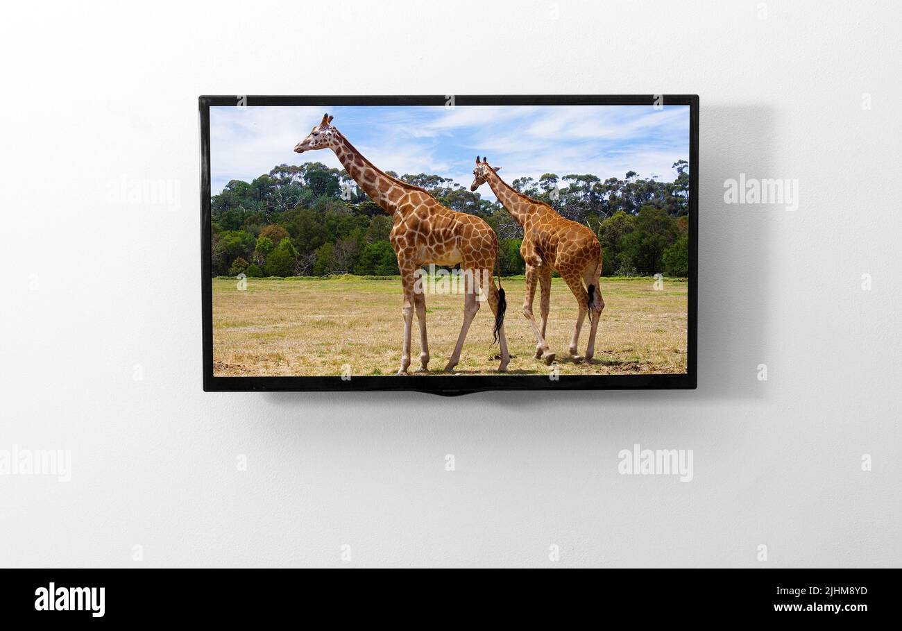 TV monitor on the wall Stock Photo - Alamy