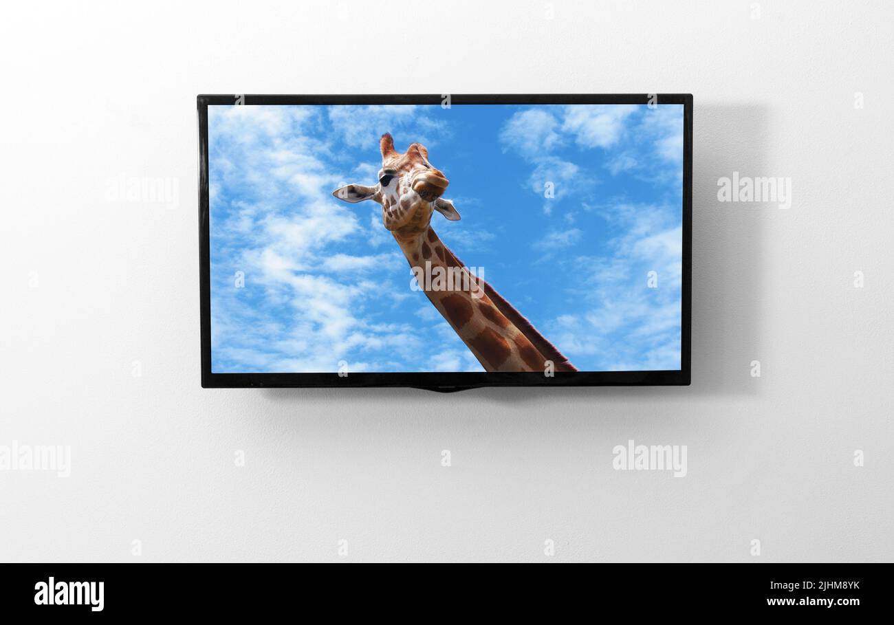 TV monitor on the wall Stock Photo - Alamy