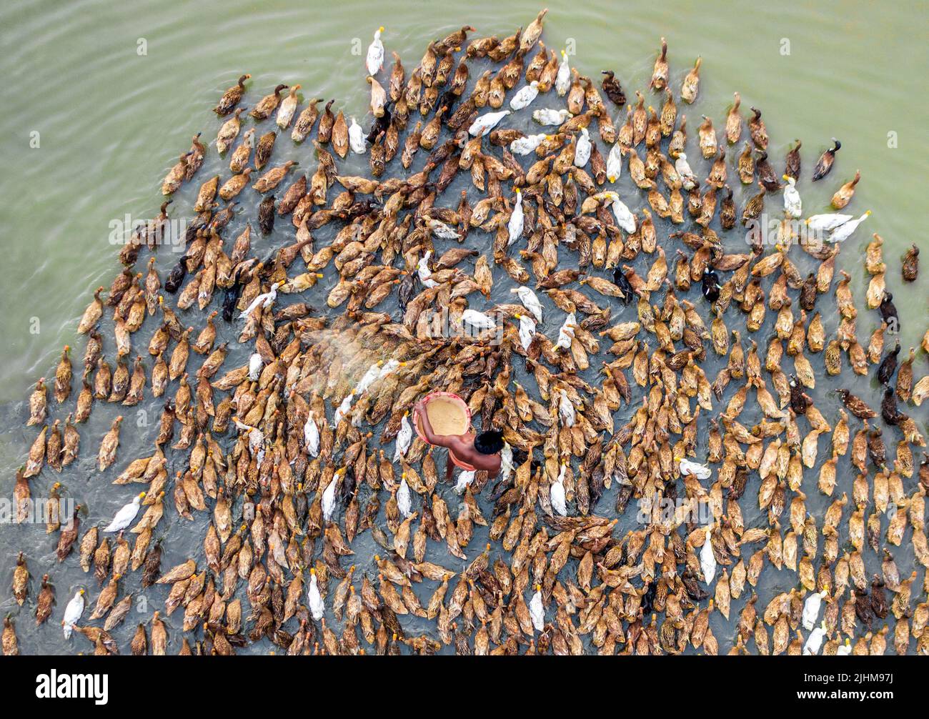 Aerial view circular agriculture farm hi-res stock photography and ...
