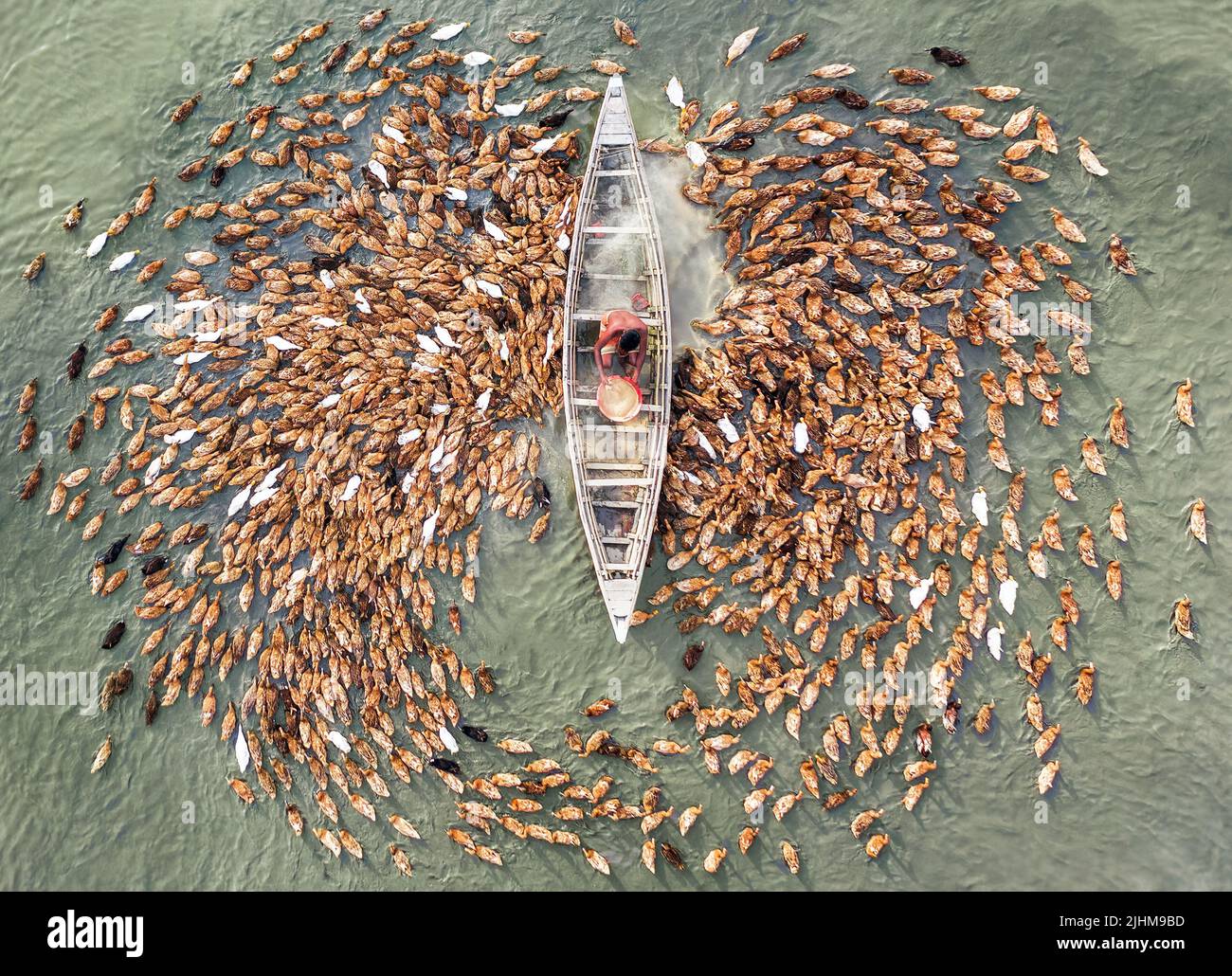 Aerial view circular agriculture farm hi-res stock photography and ...