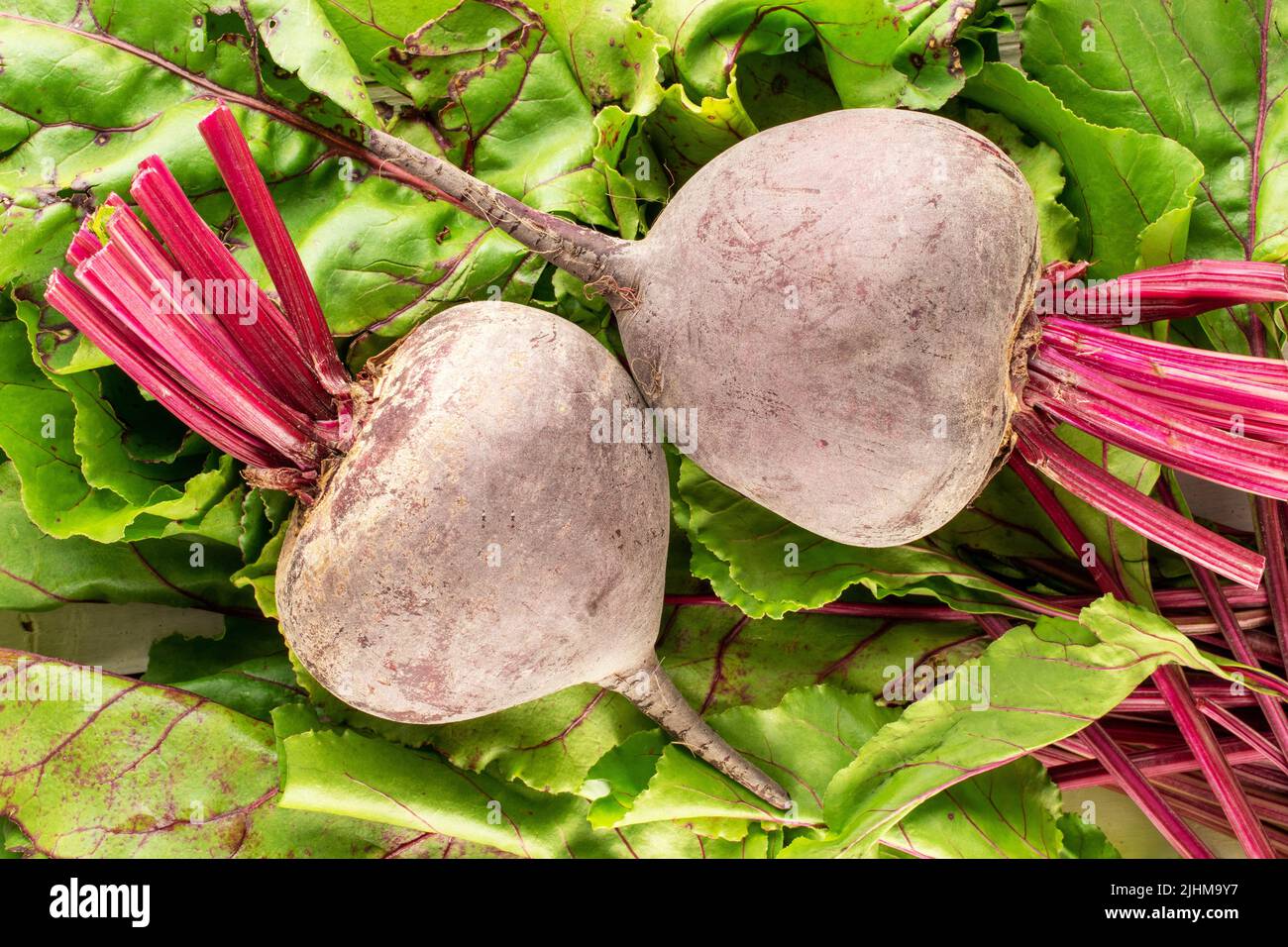 Two sweet red beetroots on green leaves, close-up, top view Stock Photo ...