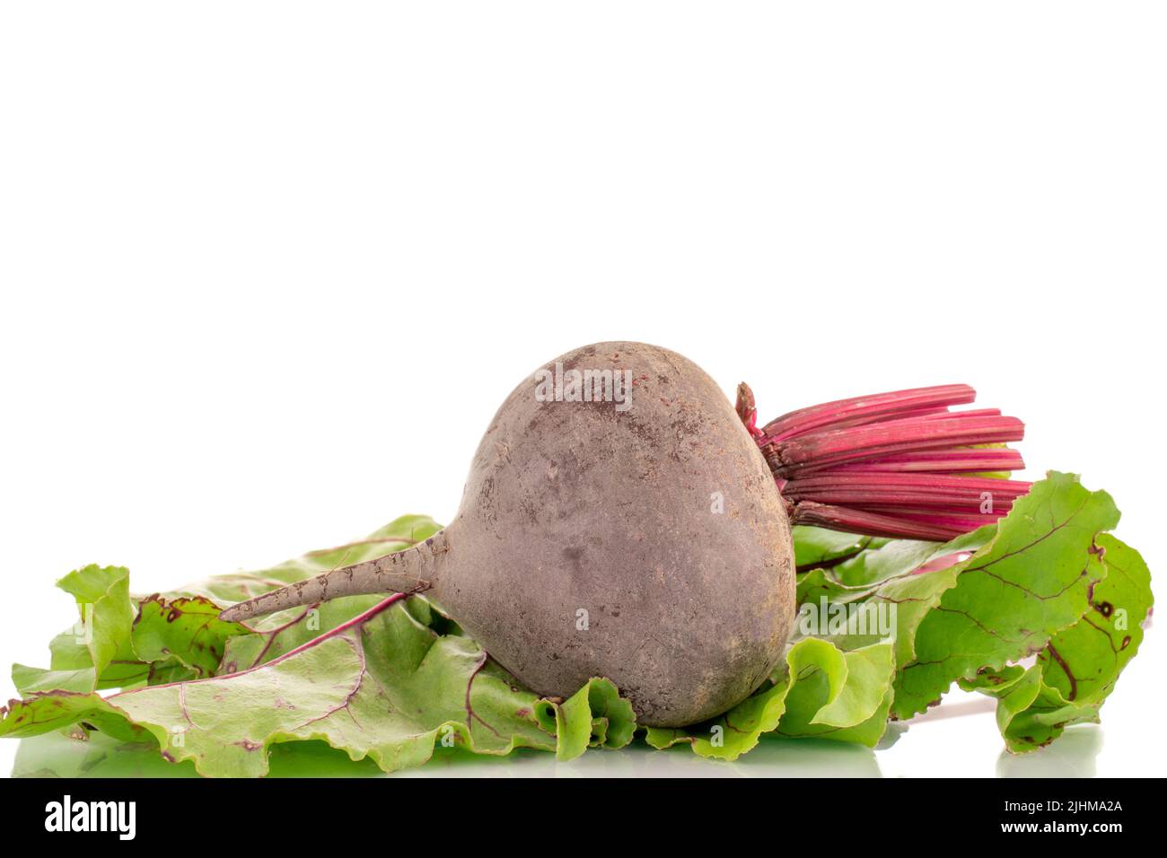 One sweet red beet, close-up, on a white background Stock Photo - Alamy