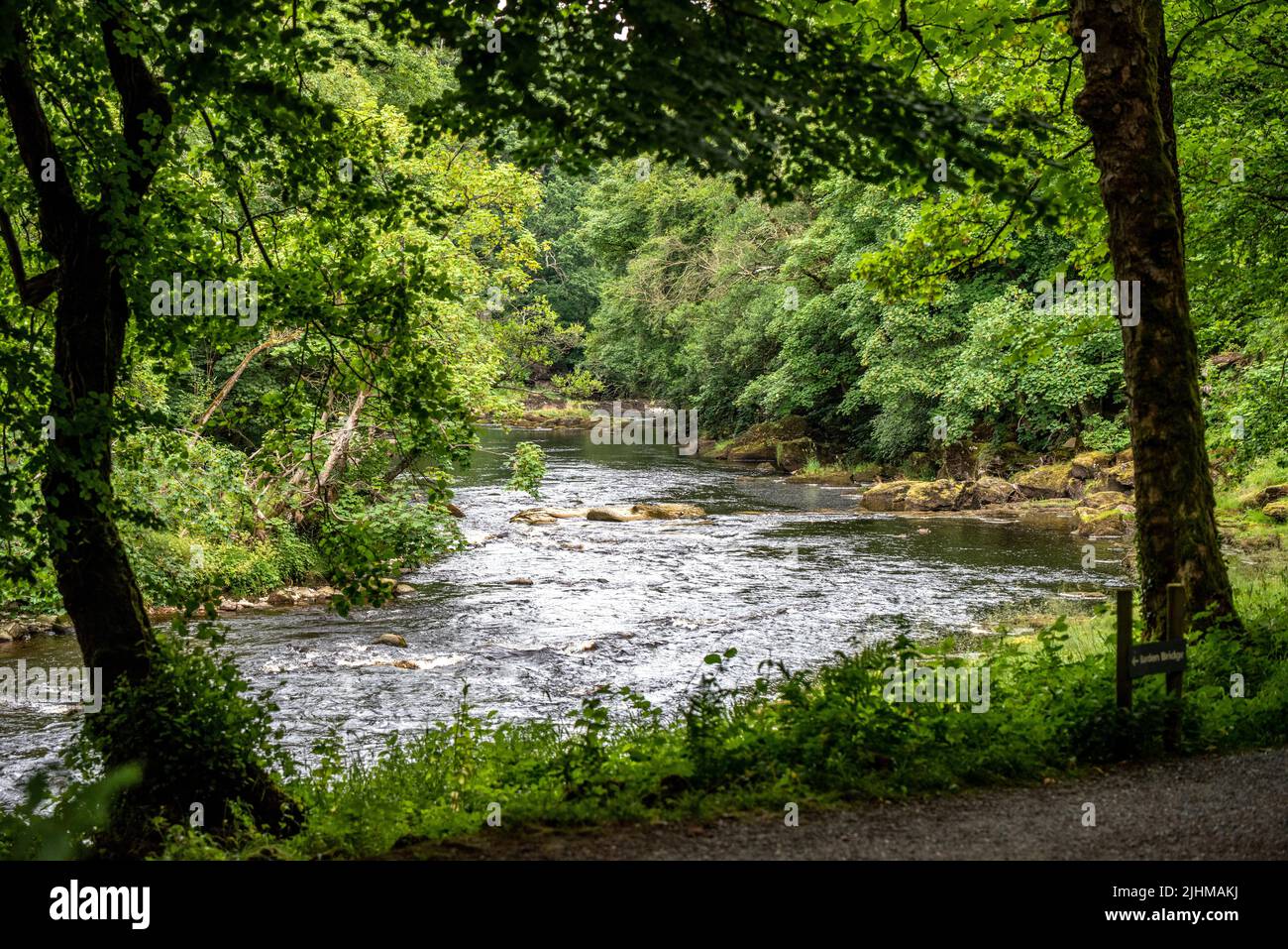 Yorkshire, July 12th 2022: The River Wharfe by Barden Tower, near ...