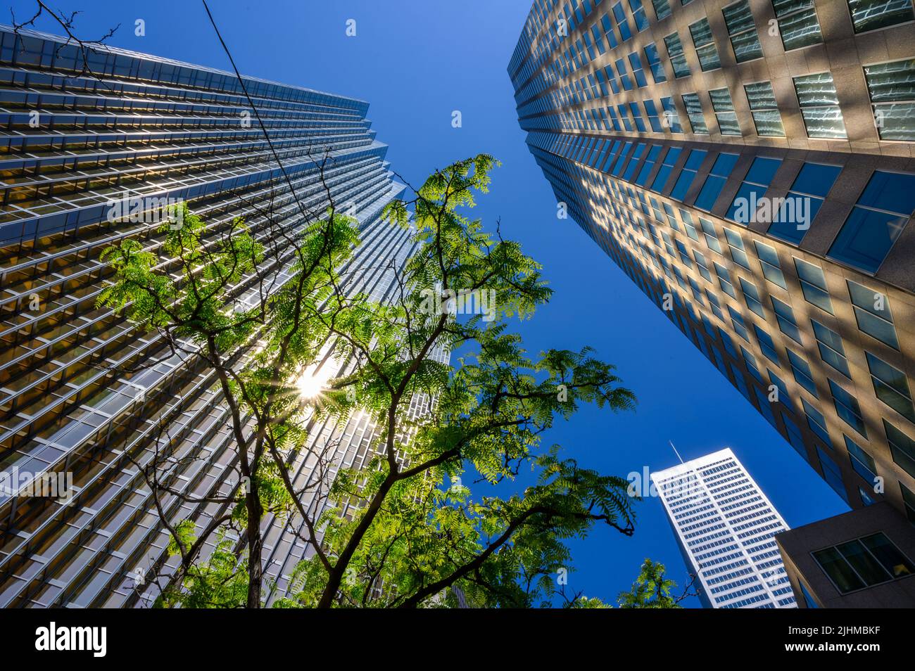Looking up at skyscrapers in Toronto downtown with sun reflecting off ...