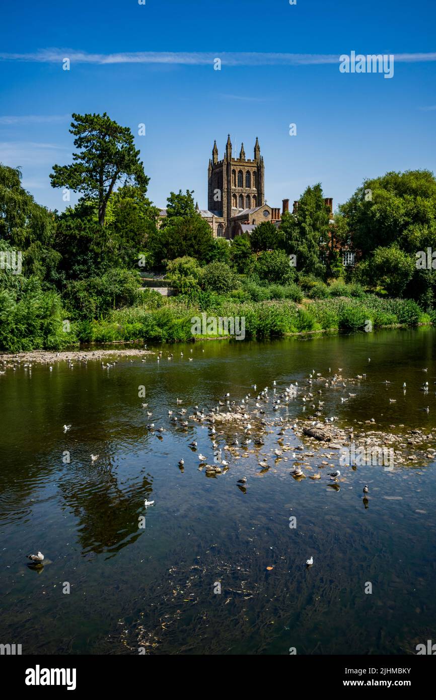 Significantly dropped water levels of the River Wye due to the recent ...