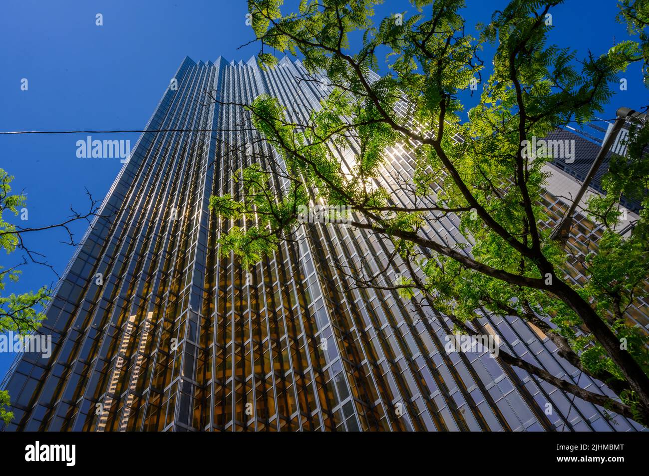 Looking up at skyscrapers in Toronto financial district with sun ...