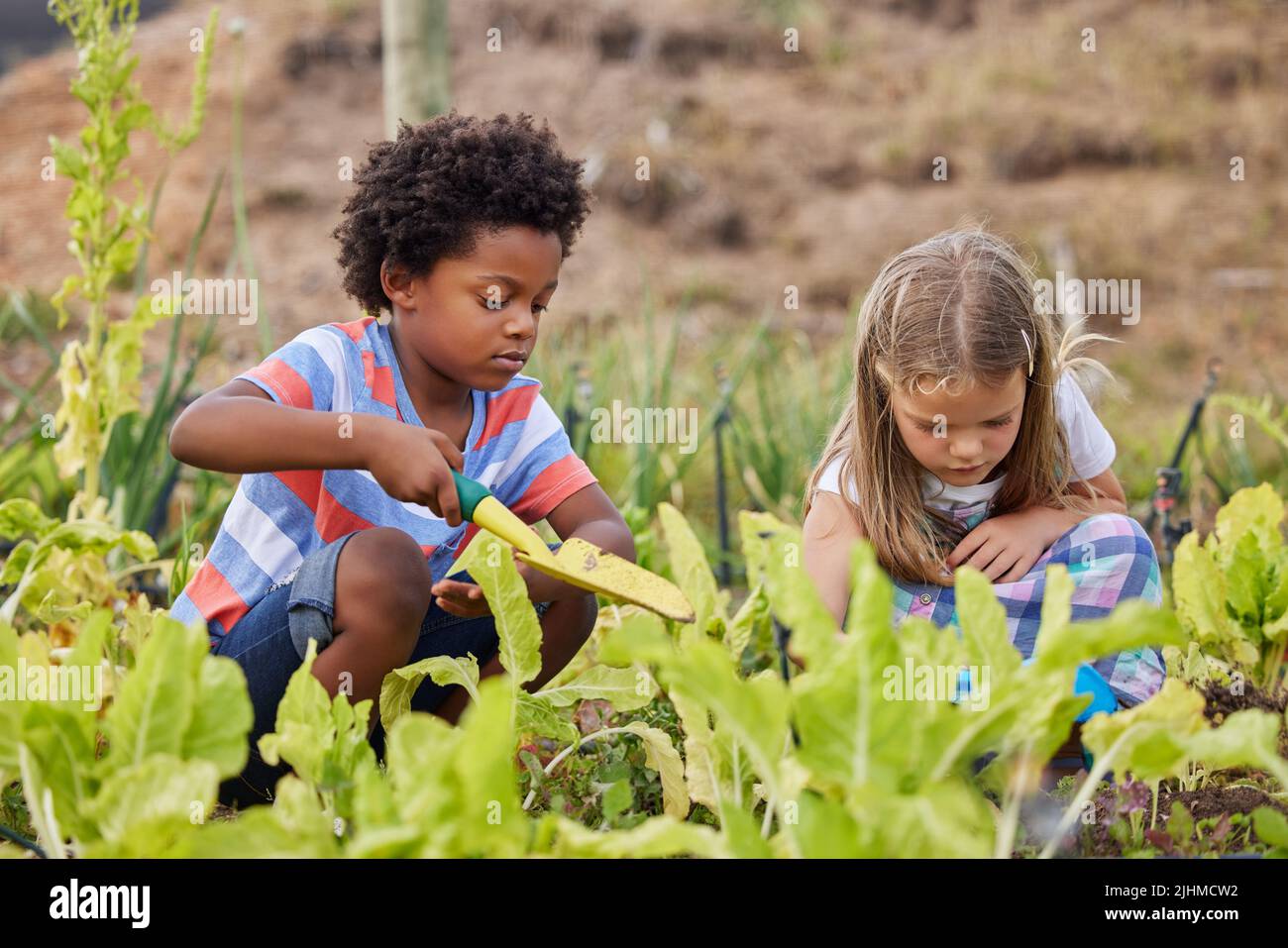 Helping out on the farm. Full length shot of two adorable little kids ...