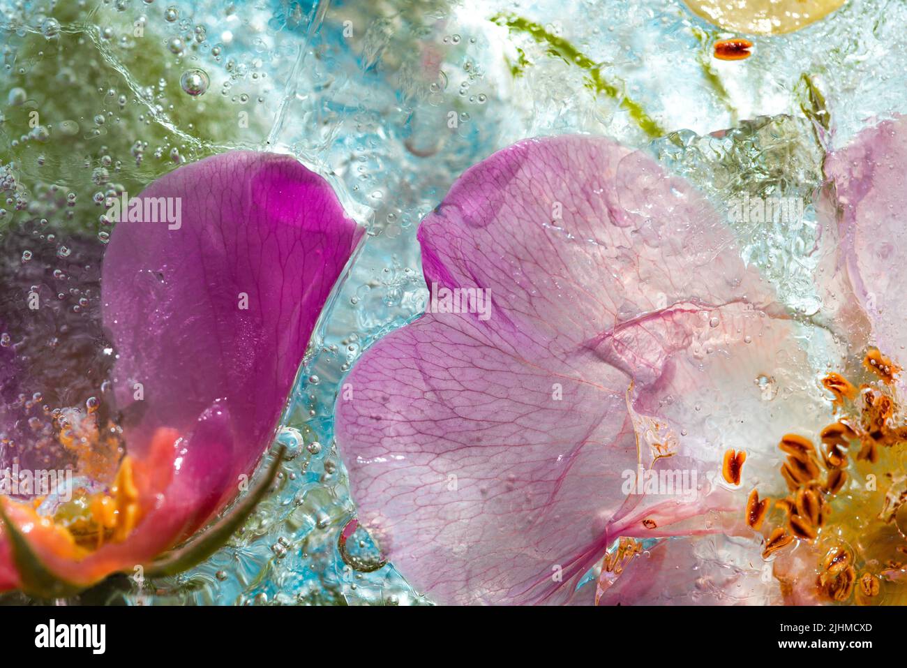 Abstract background of frozen multicolored flowers Stock Photo - Alamy