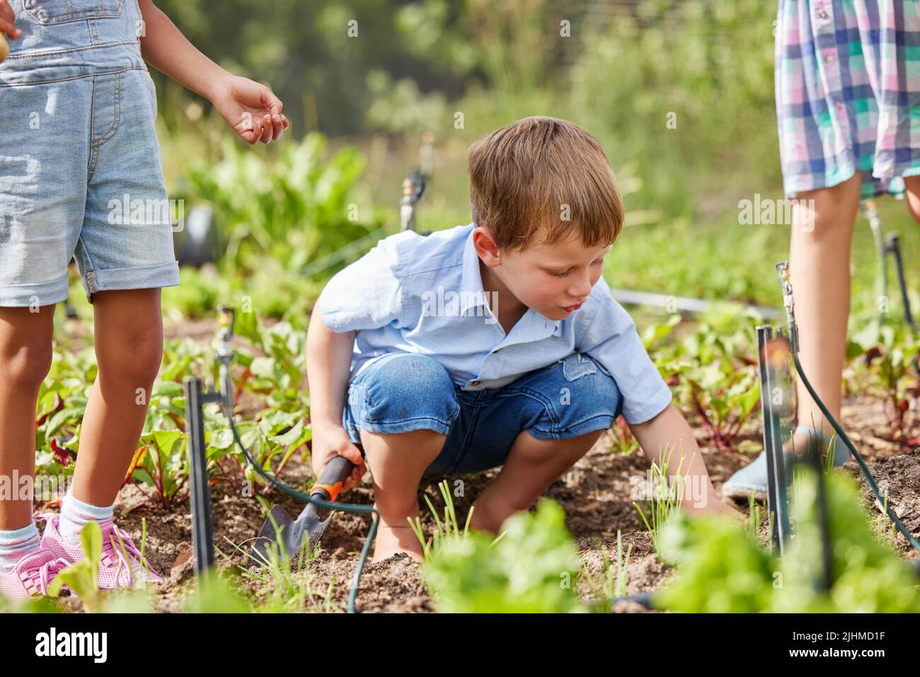 Hes so intrigued by everything on the farm. Full length shot of an ...