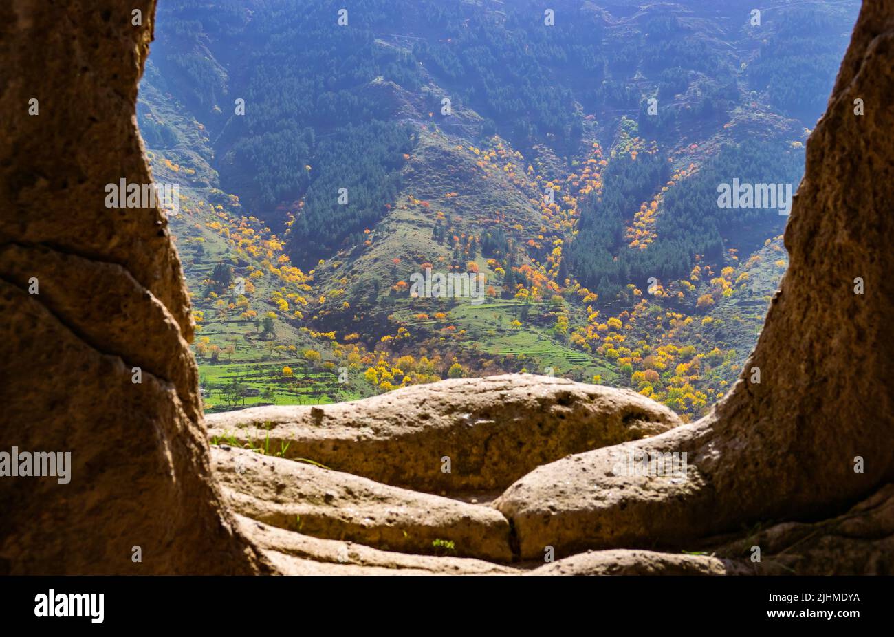 Autumn trees on mountain slope Stock Photo - Alamy