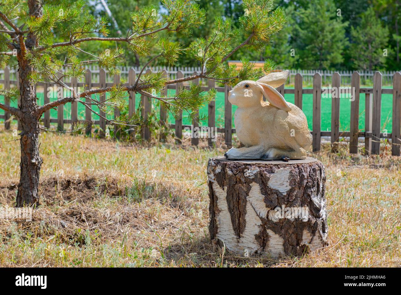 one white rabbit sits on a stump in the forest Stock Photo - Alamy