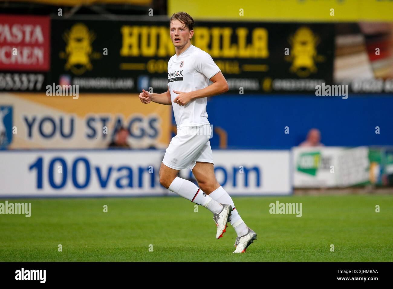 Sander Berge #8 of Sheffield United Stock Photo - Alamy