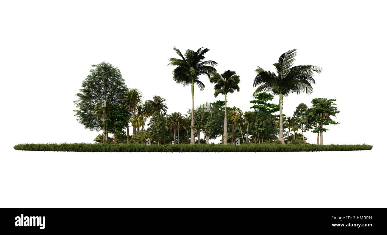 3ds rendering image of 3d rendering trees on grasses field. Mockup sky ...