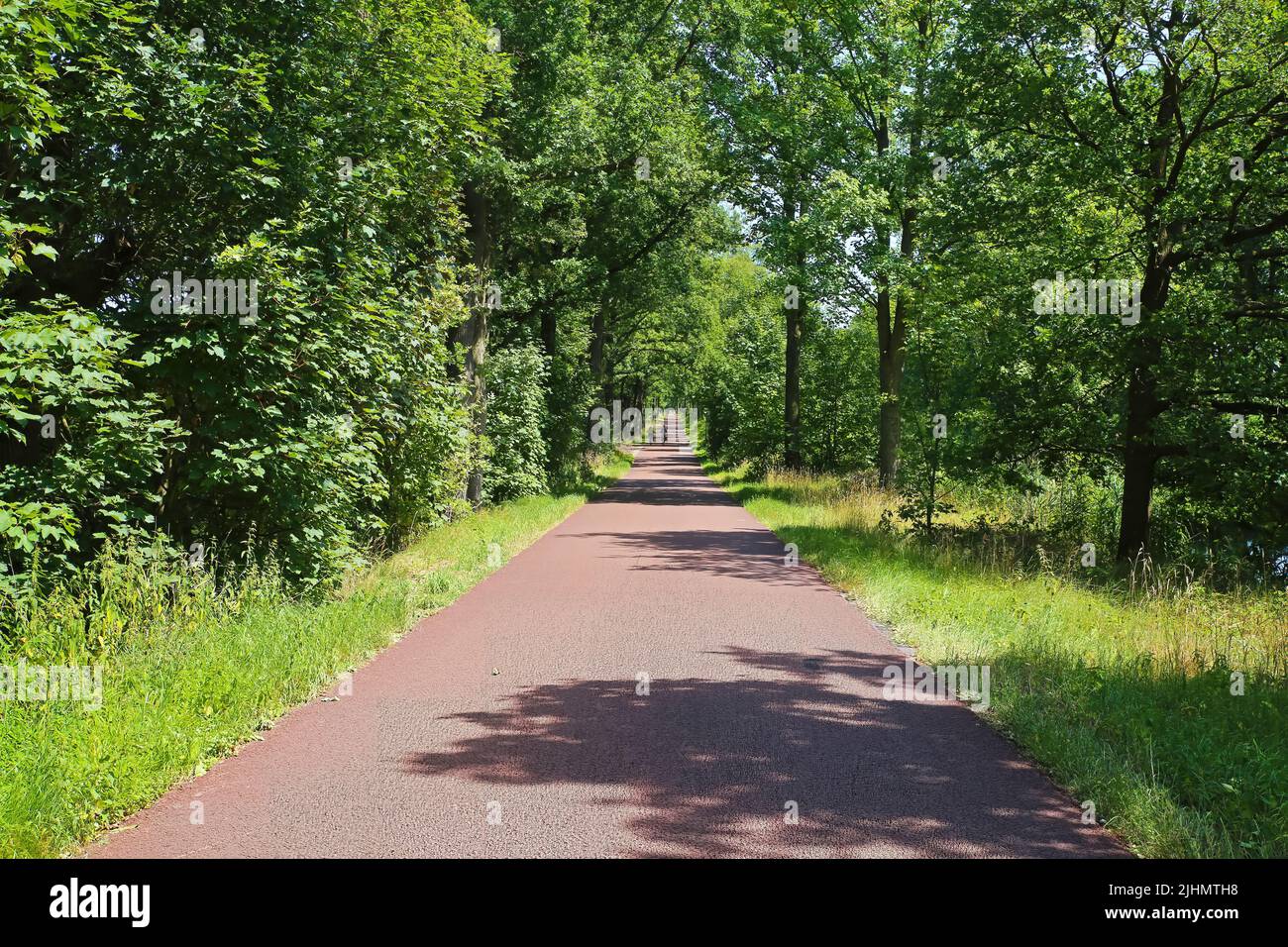 Beautiful idyllic red cycling bike path through green forest along ...