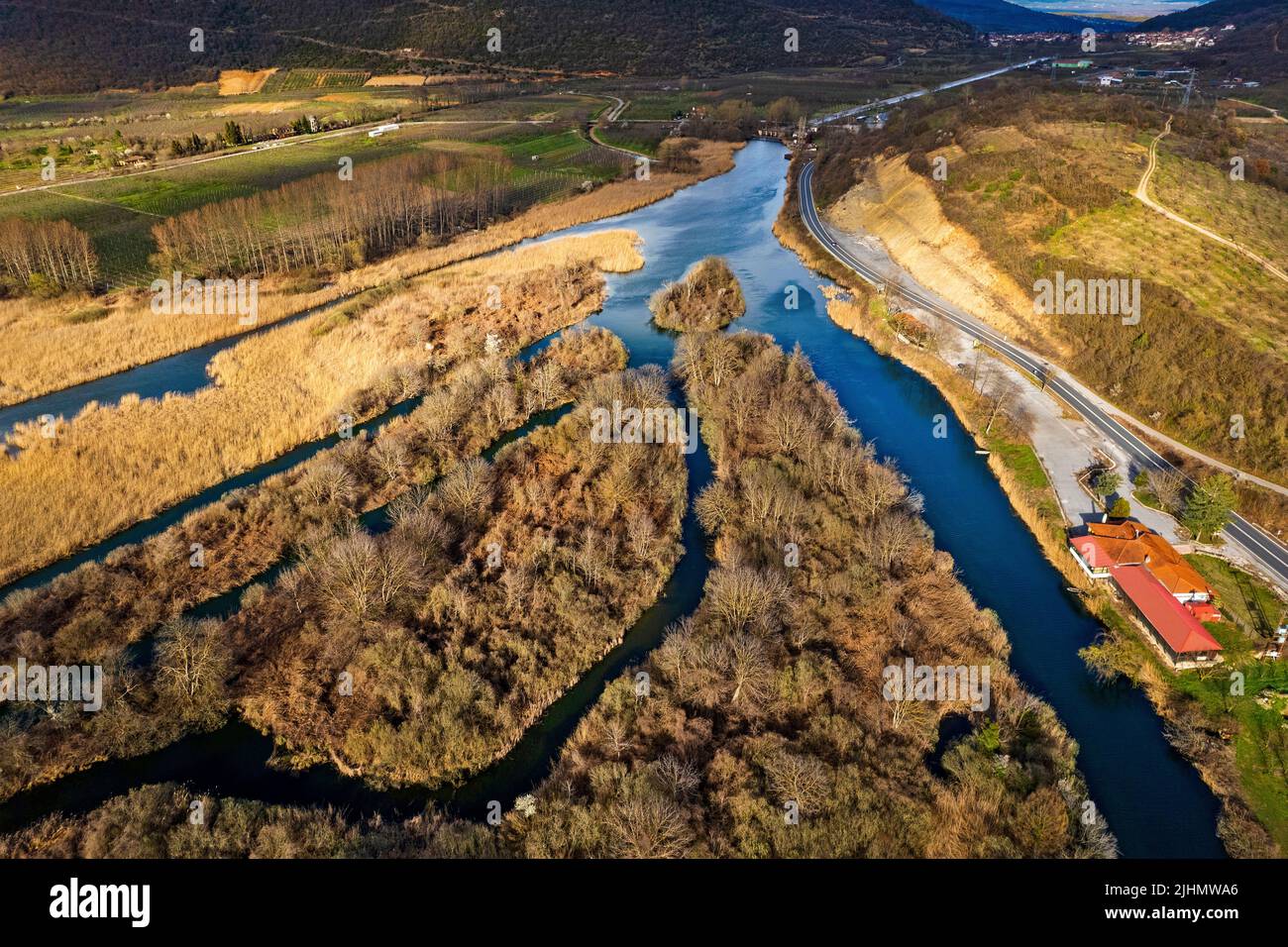 At the wetland of Agra-Vrytta-Nissi lake, Pella, Macedonia, Greece. You ...