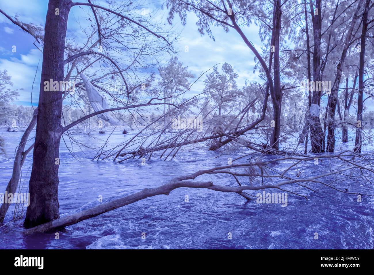 Infrared photograph of flooding in the Nepean River near the Great ...