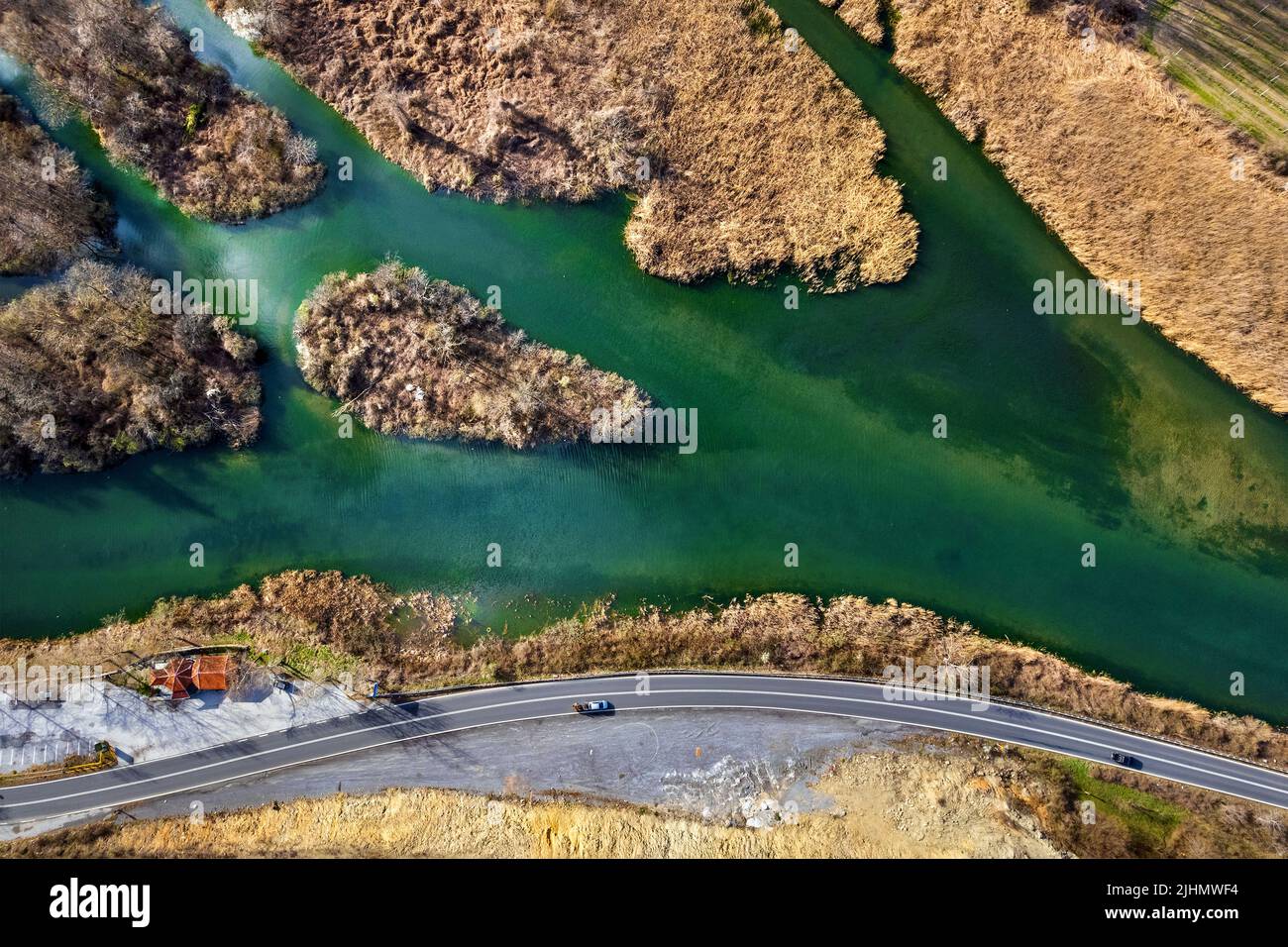 At the wetland of Agra-Vrytta-Nissi lake, Pella, Macedonia, Greece. You ...