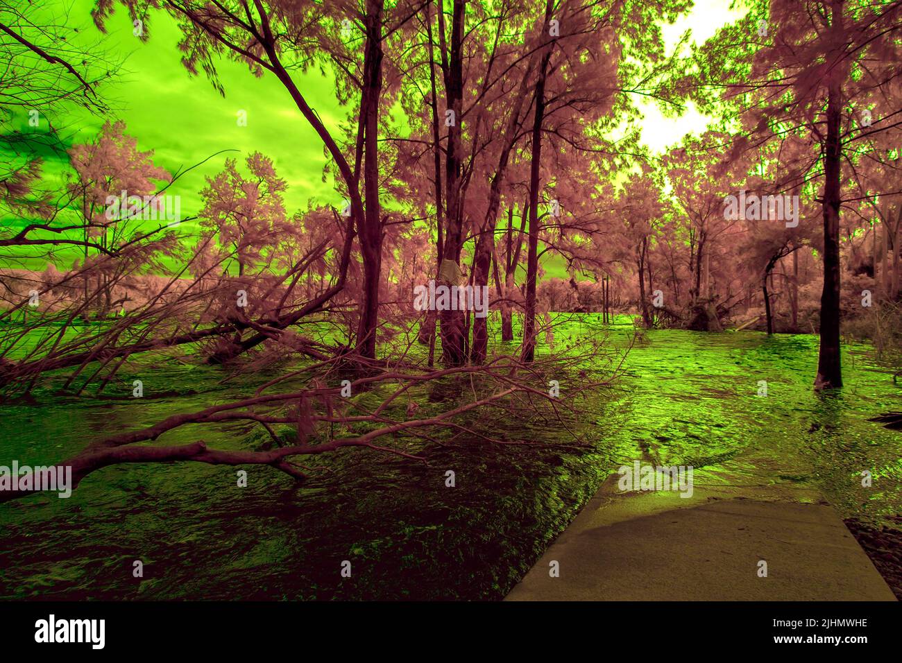 Infrared photograph of flooding in the Nepean River near the Great ...