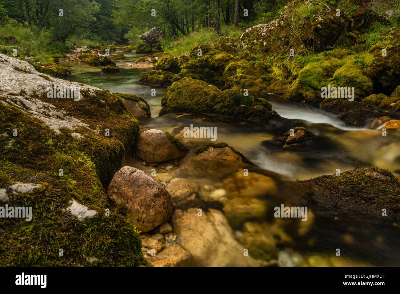 Mostnica small river with color surroundings in Slovenia summer ...