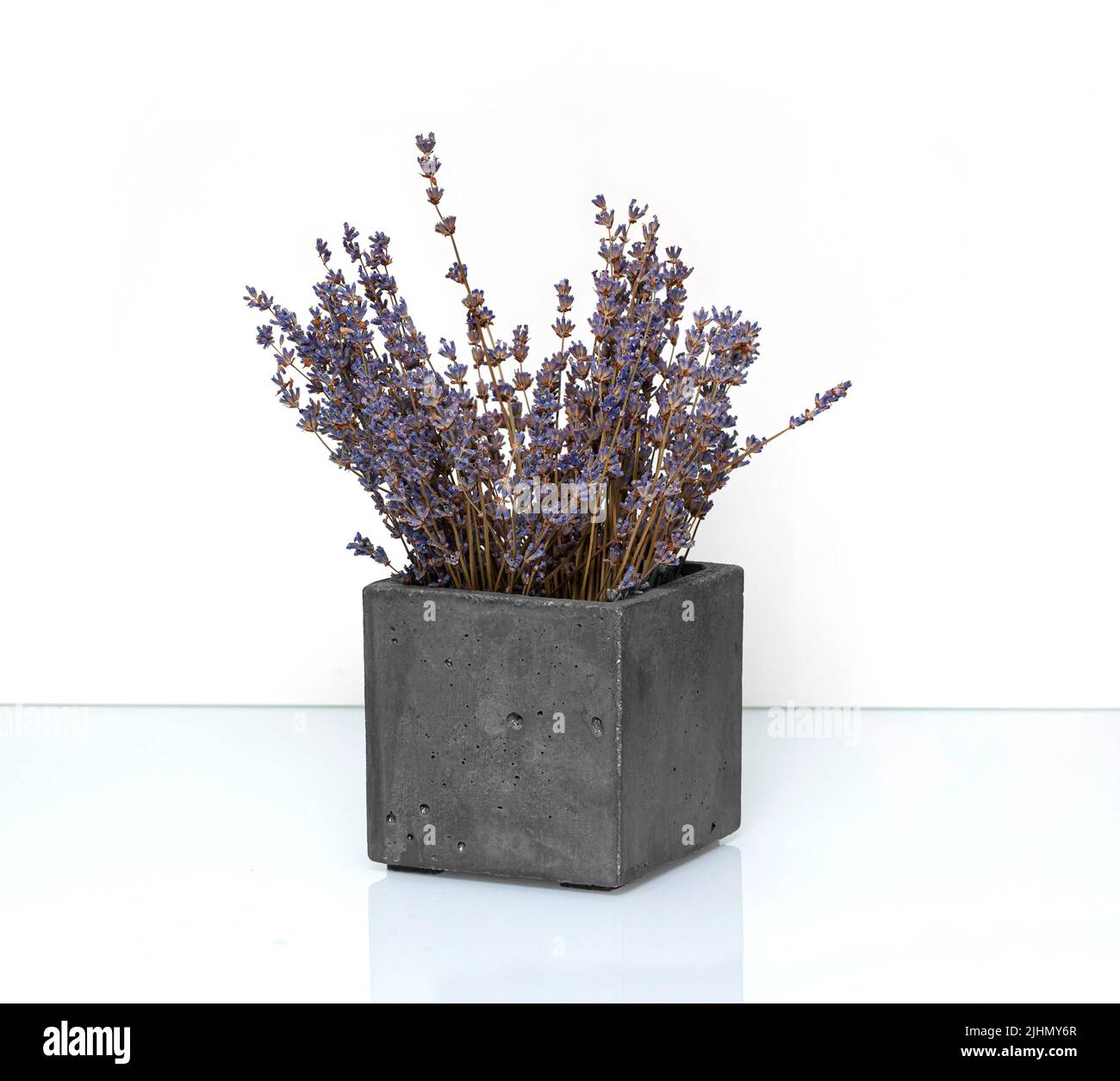 Dried lavender flowers in a modern vase. An element of interior decor ...
