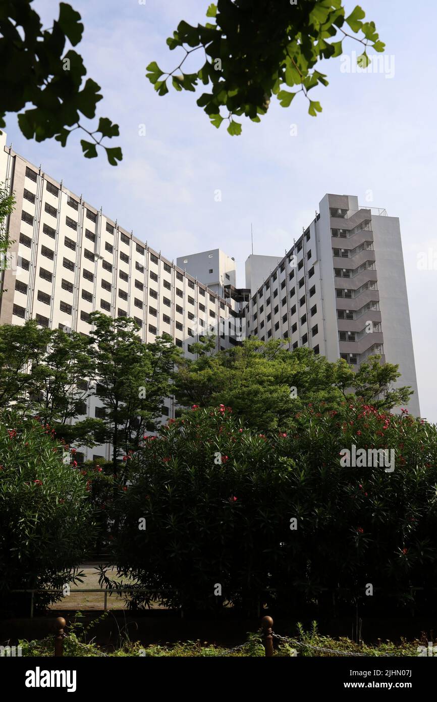 Itabashi-ku, Tokyo Japan, July 2022. Takashimadaira housing complex group Stock Photo - Alamy