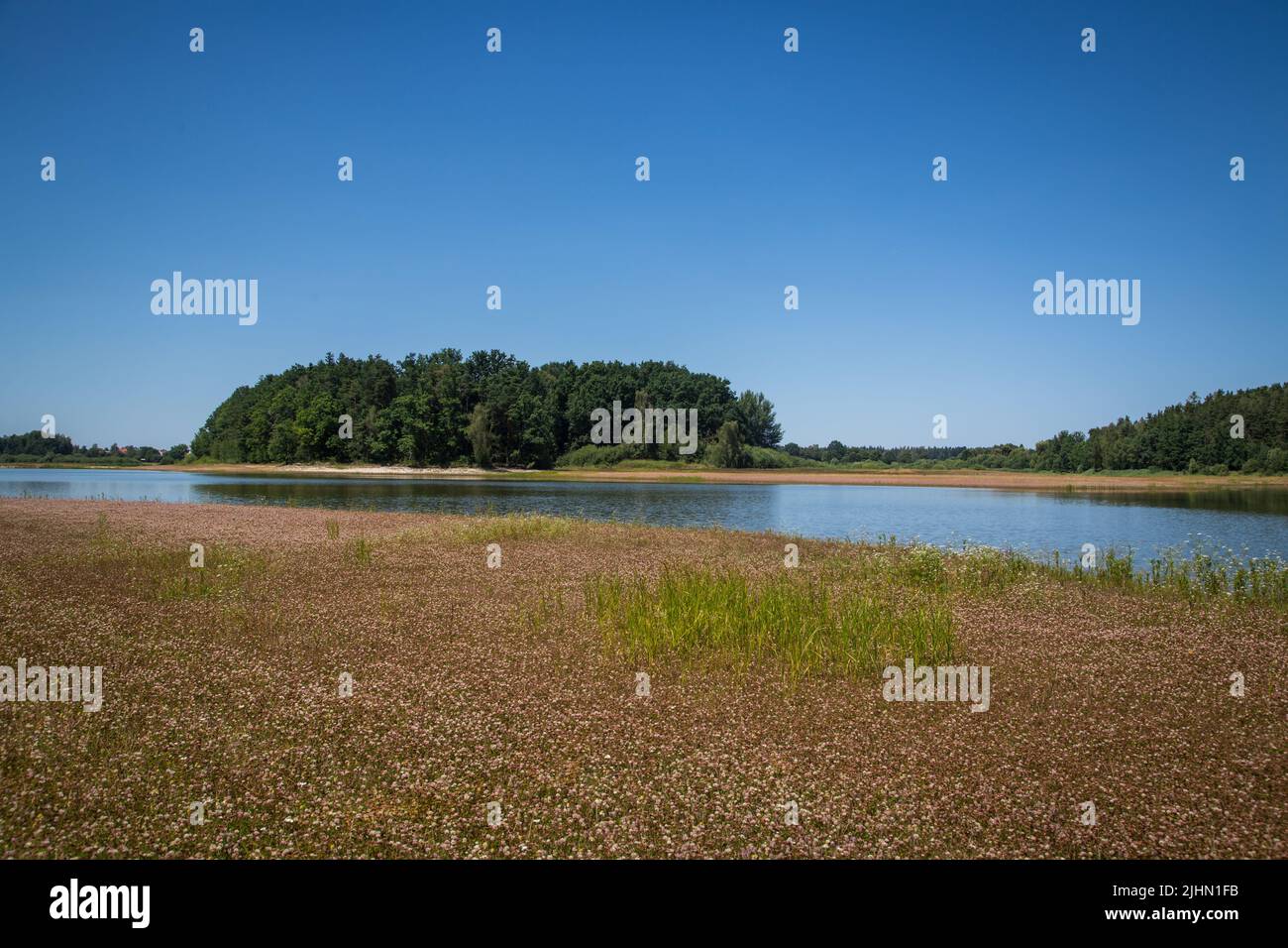 Žárský rybník, lake in Žár, Czech Republic Stock Photo - Alamy